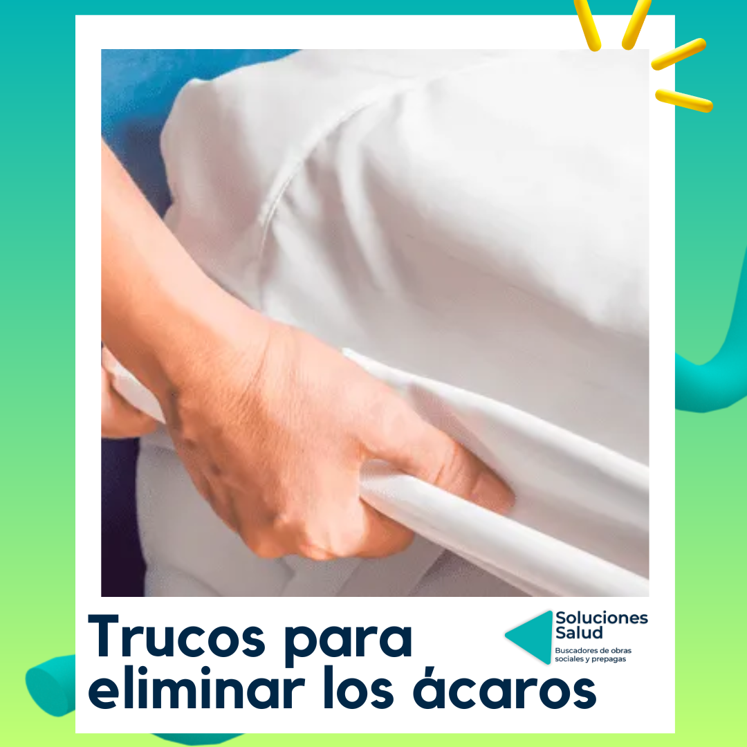 Trucos para eliminar los ácaros - Soluciones Salud